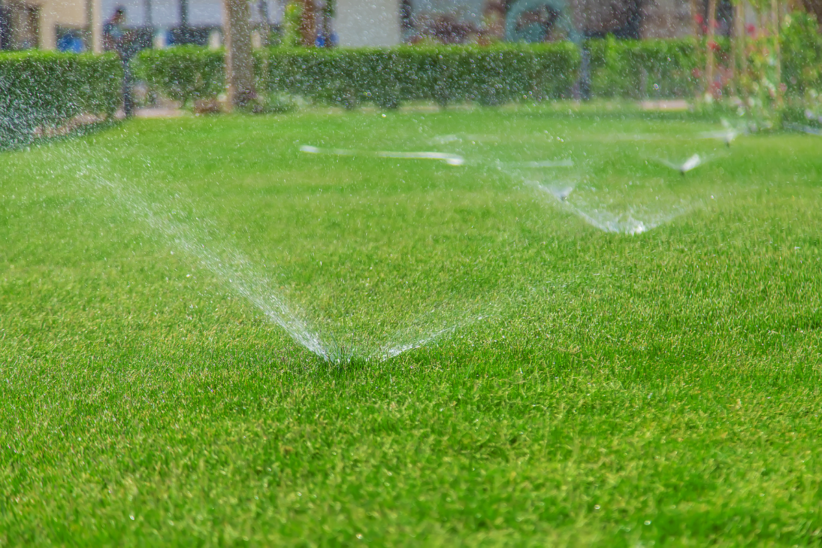 See why getting a Rain Sensor is a game changer! - Southwest Irrigation