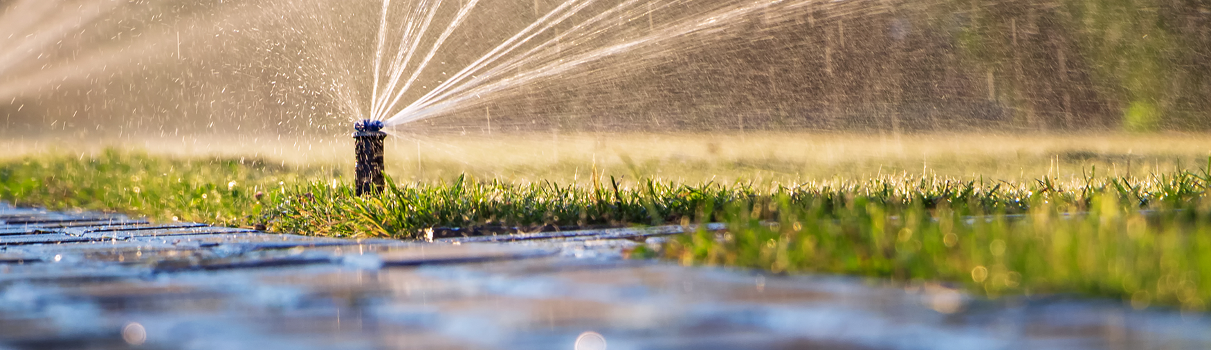 Blog - Southwest Irrigation