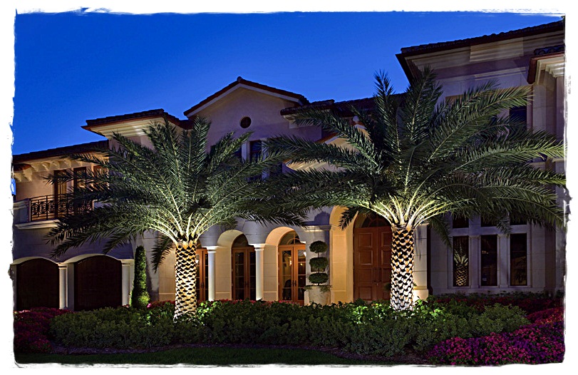 Enhance Your Outdoor Living area with Stunning Uplighting